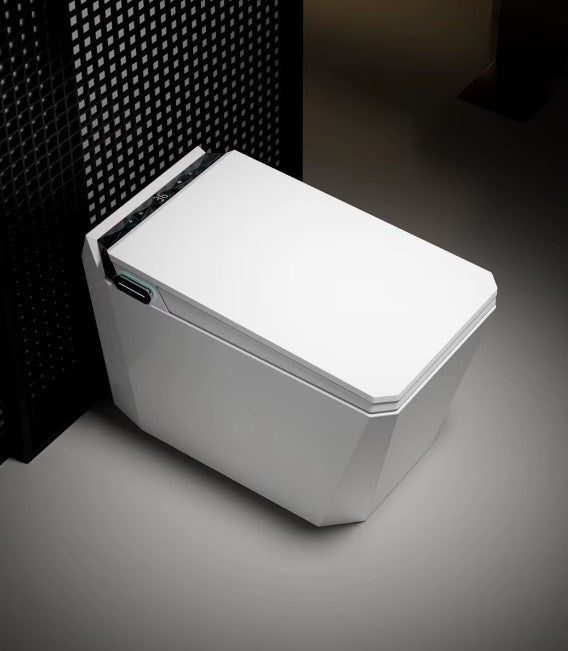 EDGE|One Piece Smart Toilet Mount Smart bidet Toilet – Smart Living and ...