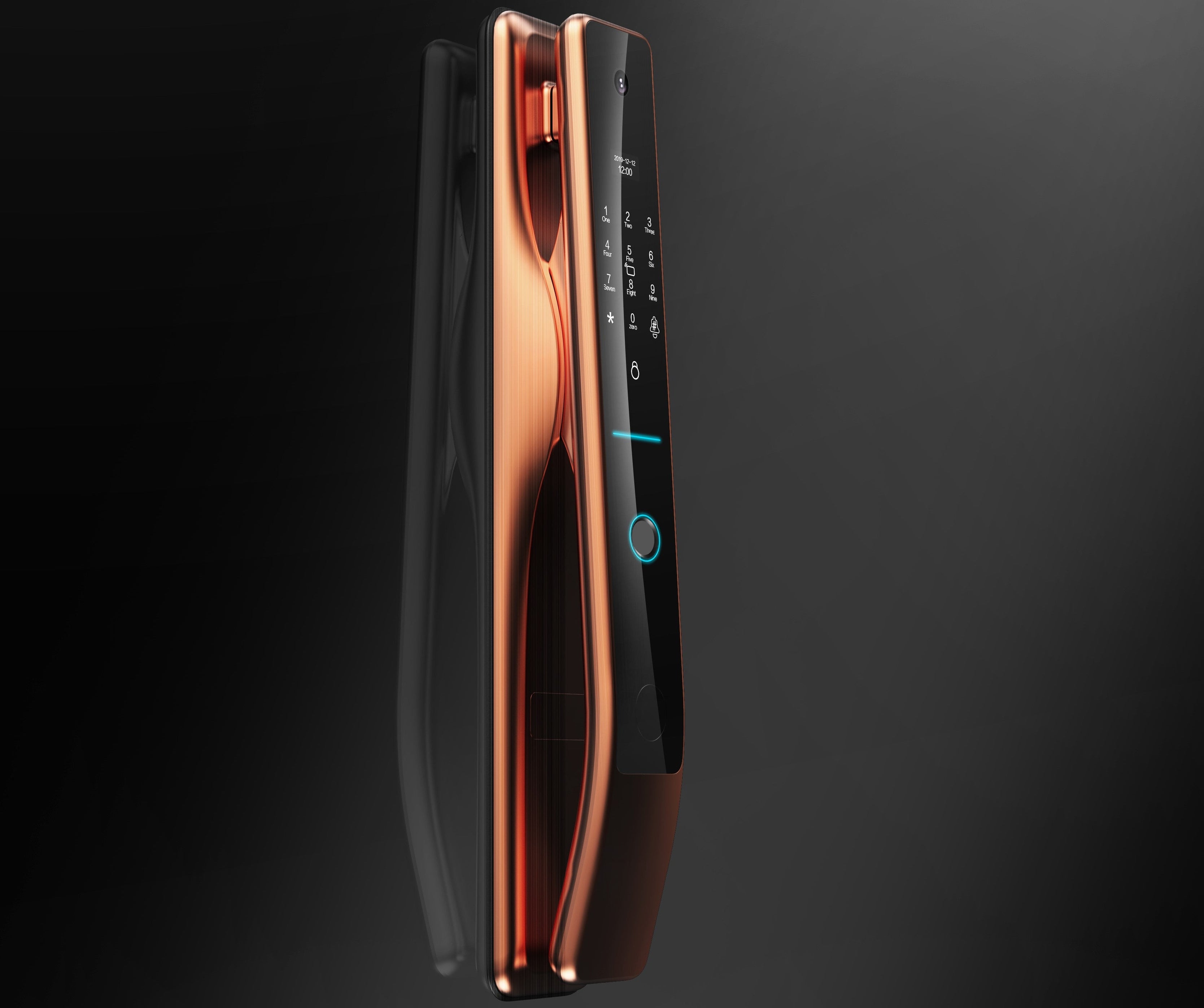 CRUDE BRONZE | Smart Biometric Fingerprint Door Lock Built-in HD Camera ...